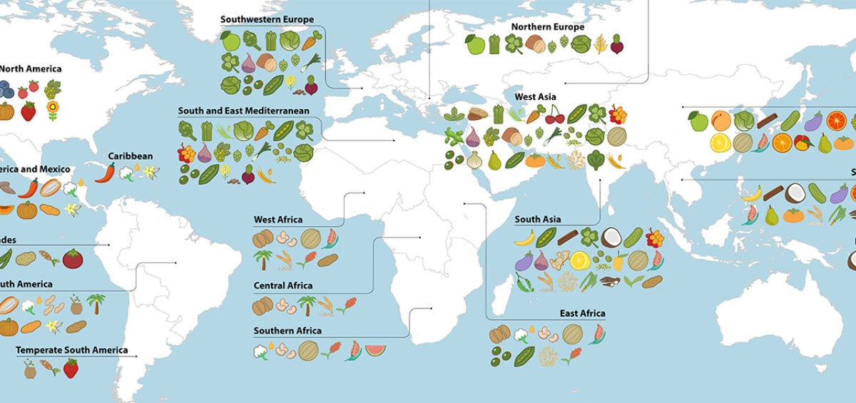 Une carte de l’origine des fruits et légumes - Pacha cartographie